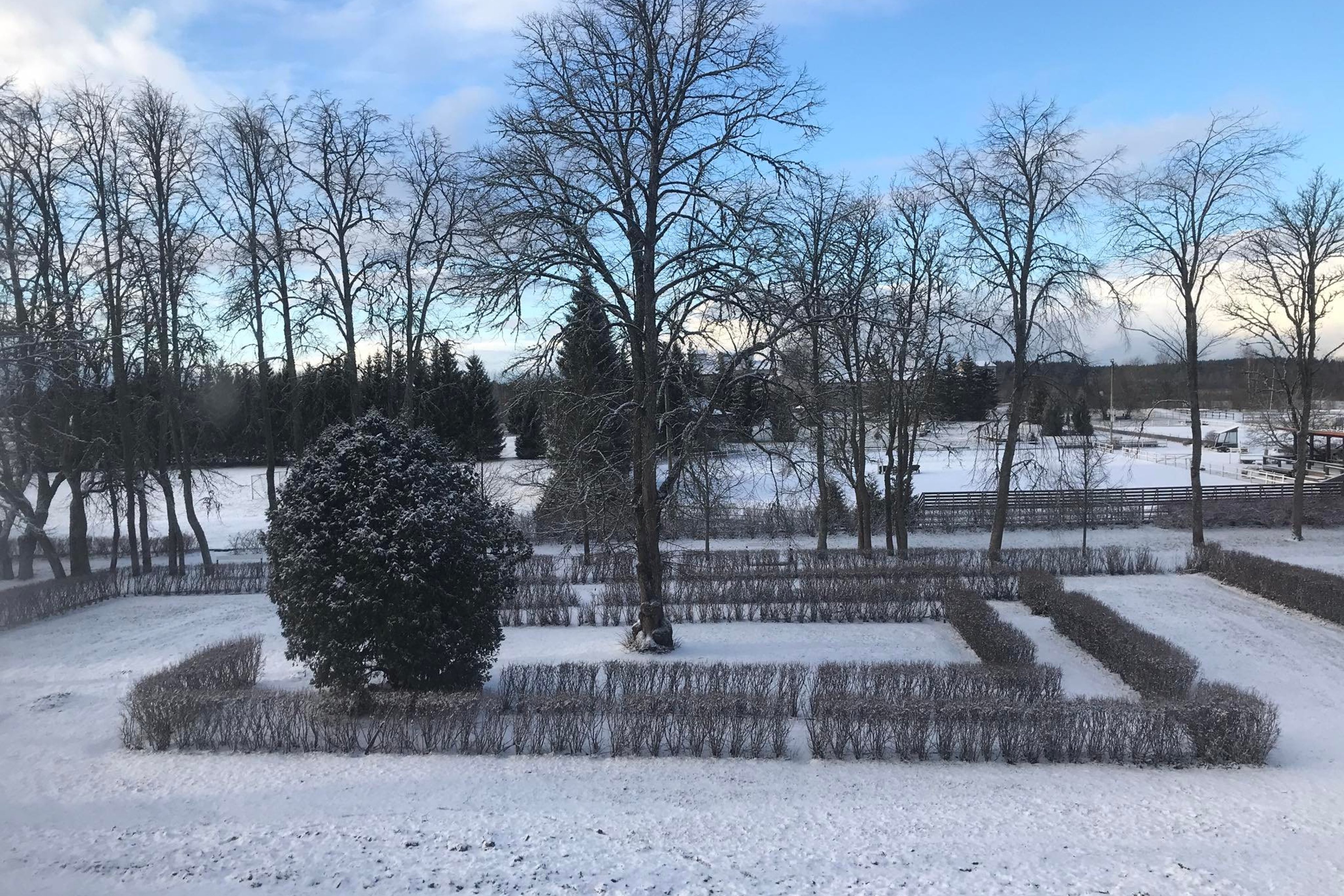 Nädalainfo 24.-28. november | Ruila Põhikool